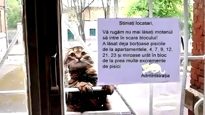 Un anunț afișat la avizier de Administrația unui bloc din București a ...