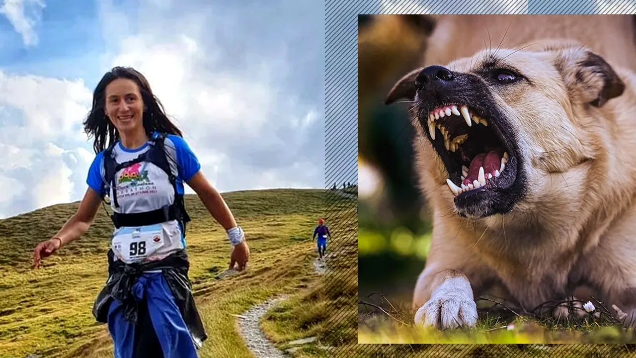 EXCLUSIV | Motivul șocant pentru care Ana a revenit în locul în care ...