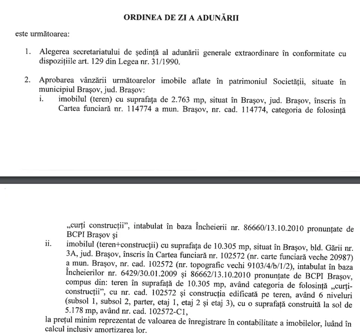 Averea omului de afaceri Dan Adamescu, vândută la bucată