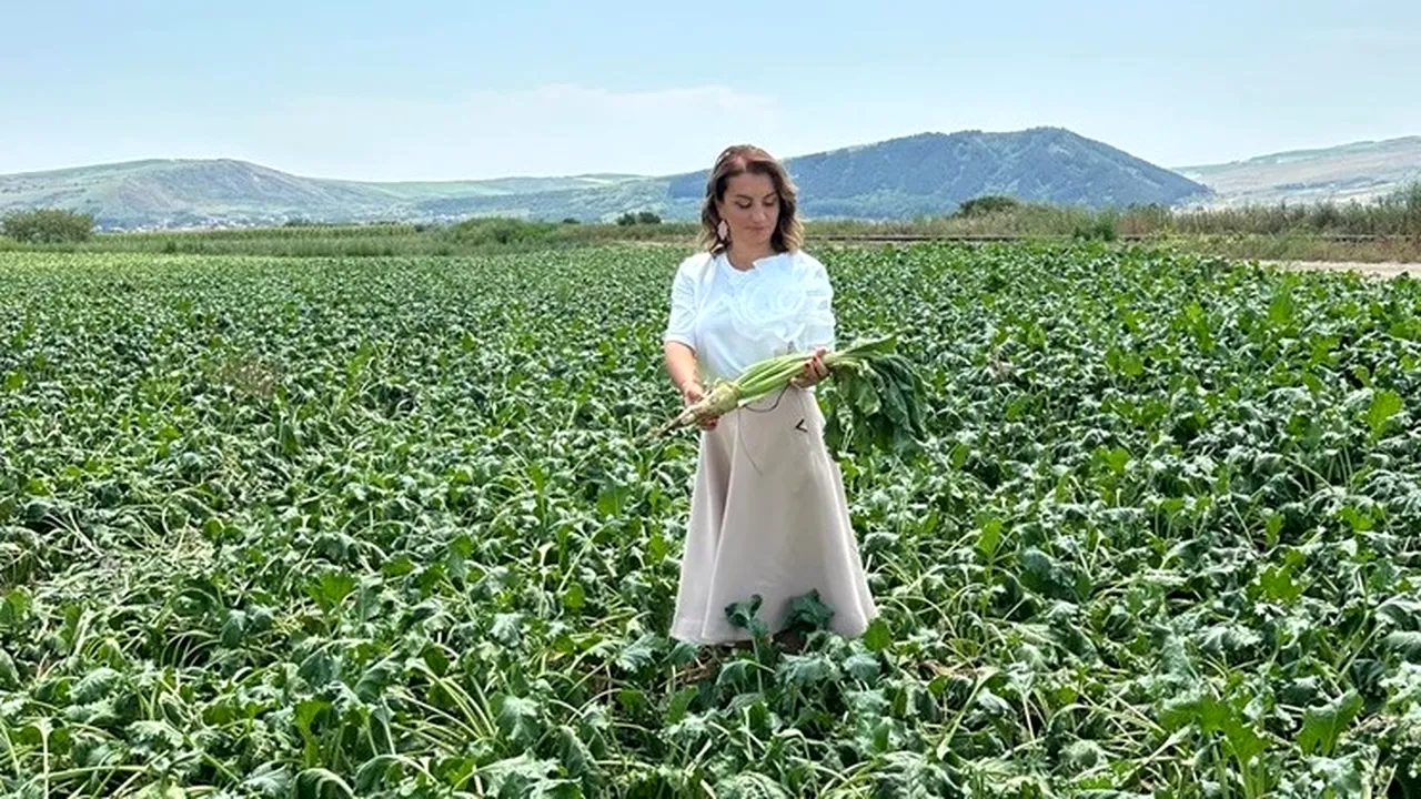 Mihaela Neagu, Fabrica de ZAHĂR Premium Luduș: „În România nu există ...